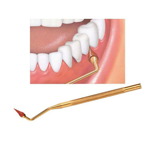 Sunstar GUM Stimulator Handle & Tip – Anson Dental Supply